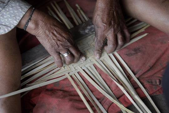 ¿Querés aprender cestería con totora? | Punta Querandí